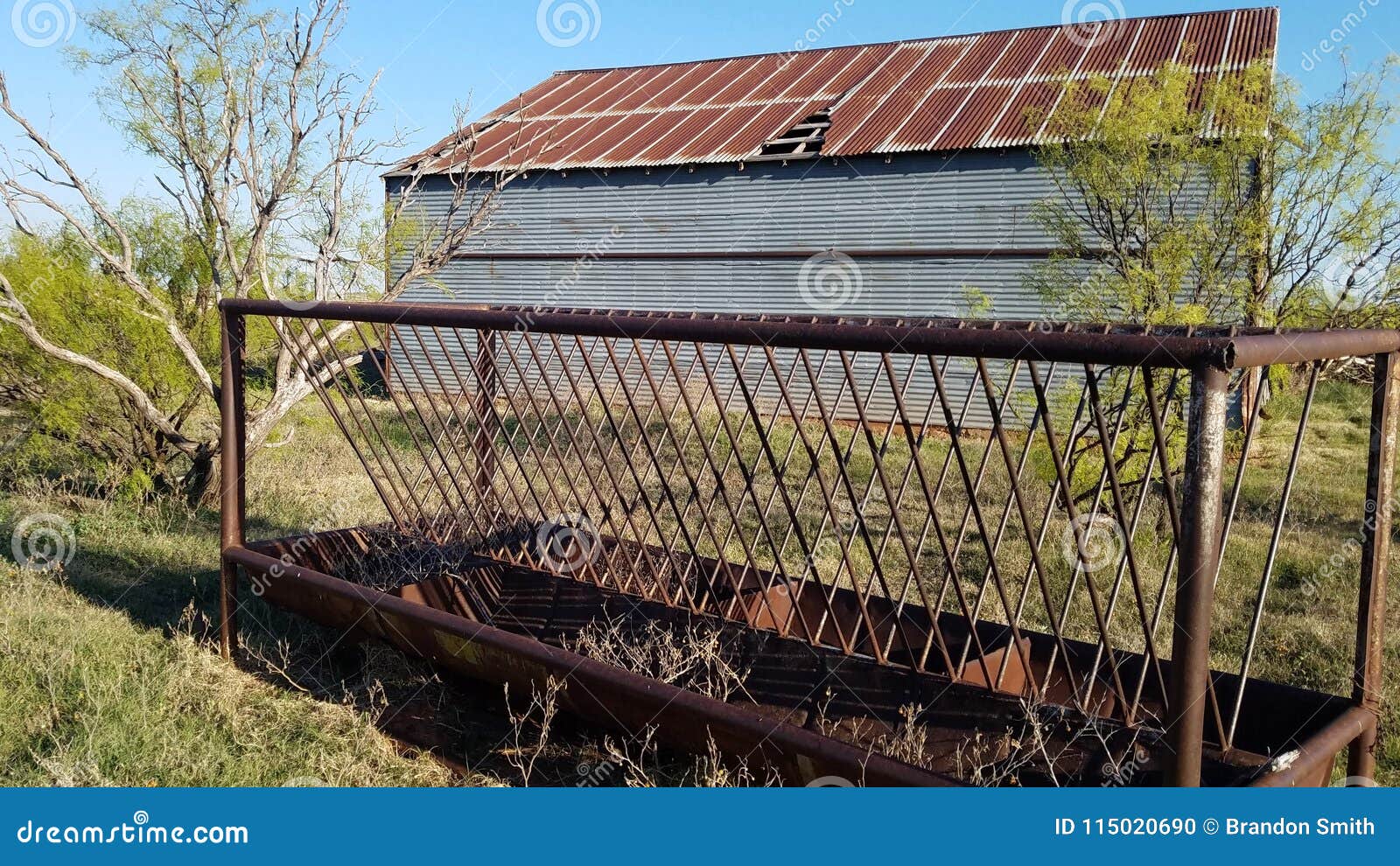 Cattle Feeder Behind North Texas Hay Barn Stock Photo - Image of milk ...