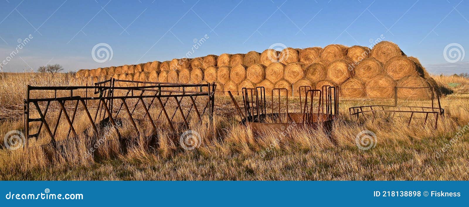 Cattle Feeders and a Row of Round Hay Bales Stock Photo - Image of ...