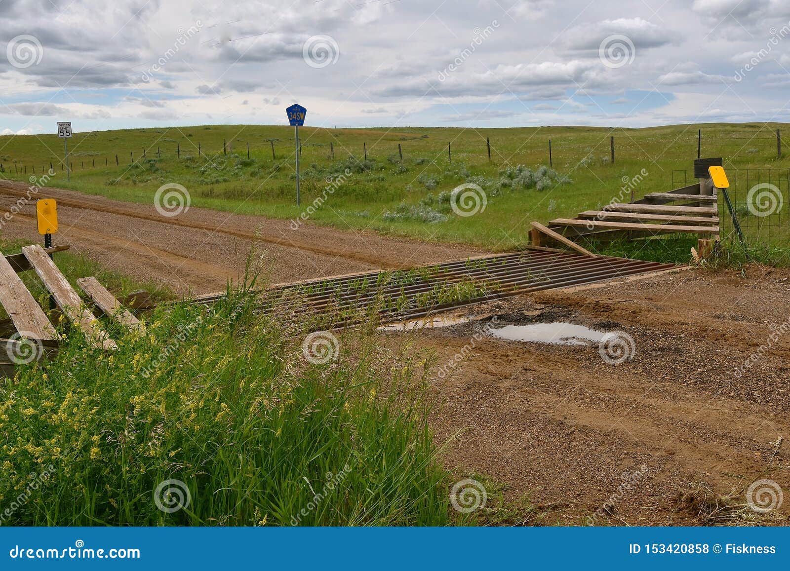 Cattle gate crossing stock photo. Image of fence, agriculture - 153420858