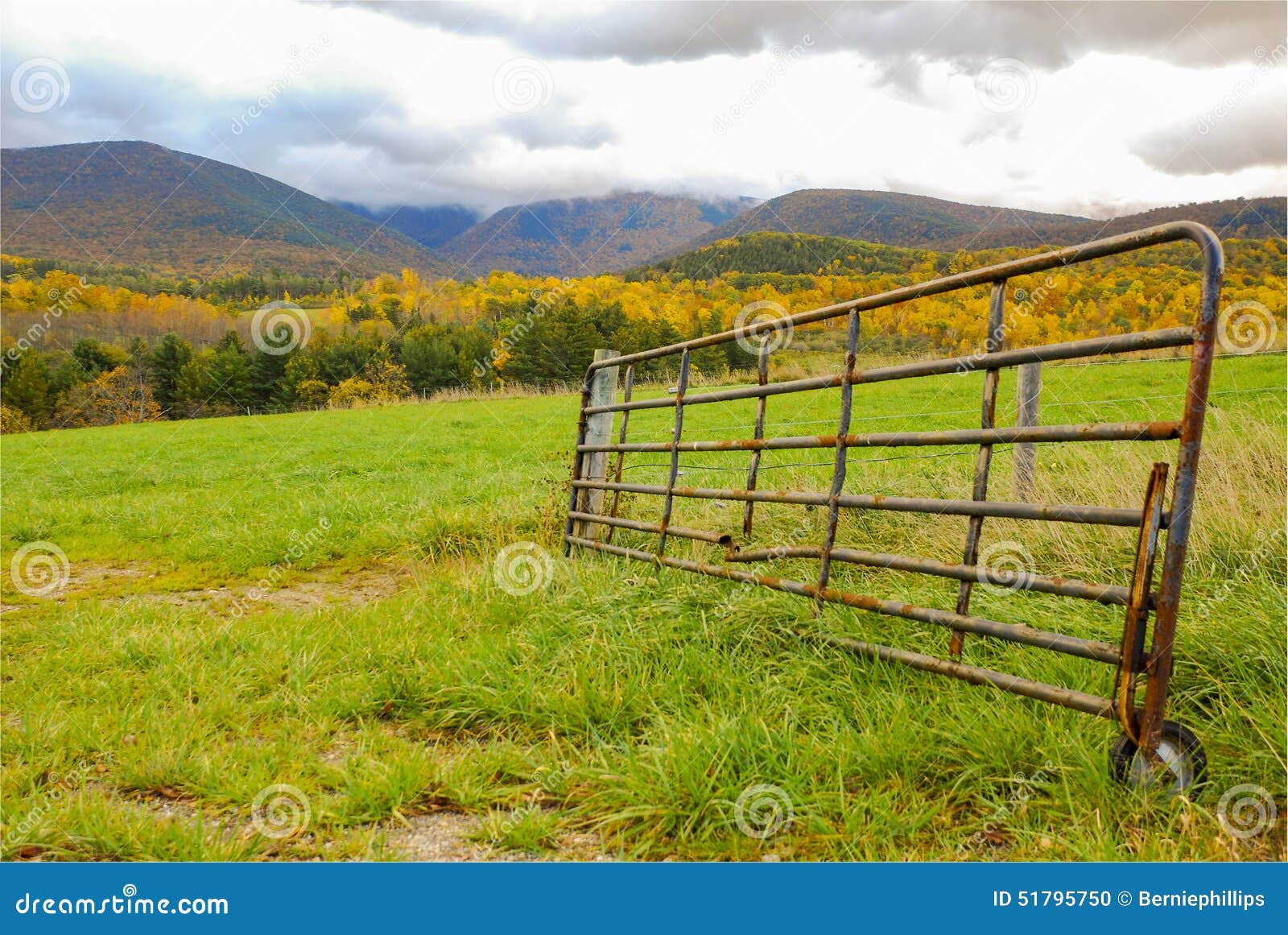 Cattle Gate by Field in Mountains Stock Photo - Image of open, fall ...