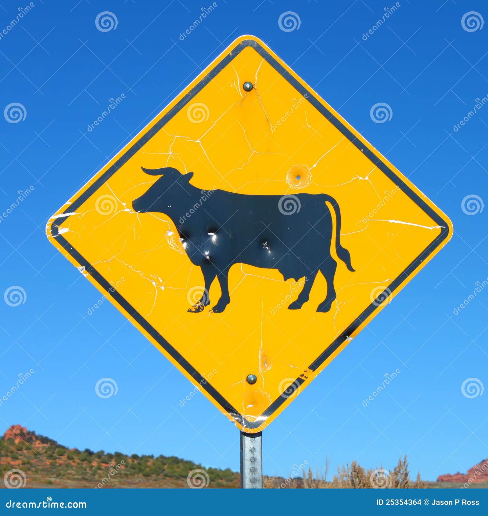 Cattle Grazing Sign stock photo. Image of background - 25354364