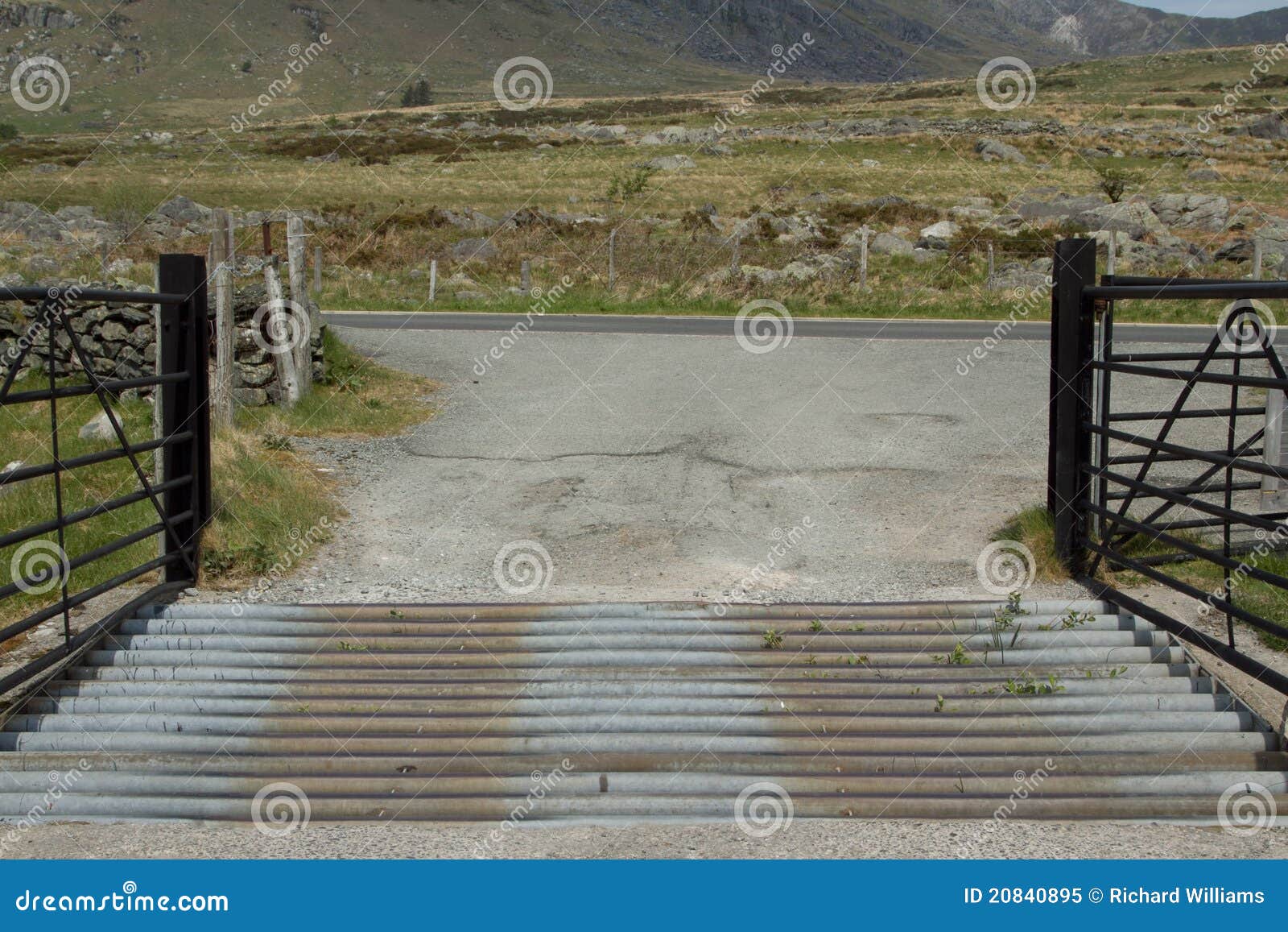 Cattle Grid And Gate Stock Photo | CartoonDealer.com #59185092