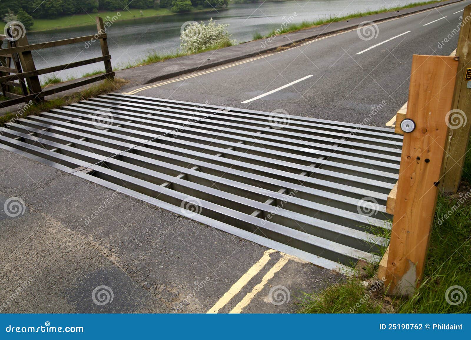 Cattle Grid And Sheep Royalty-Free Stock Photography | CartoonDealer ...