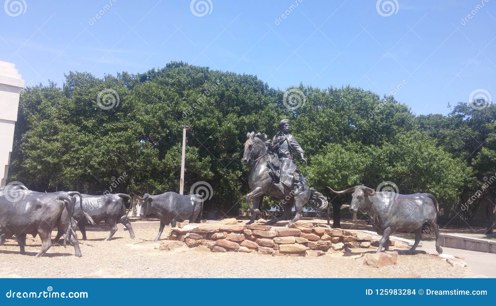Cattle Herd Waco Tx. Suspension Bridge Editorial Stock Image - Image of ...