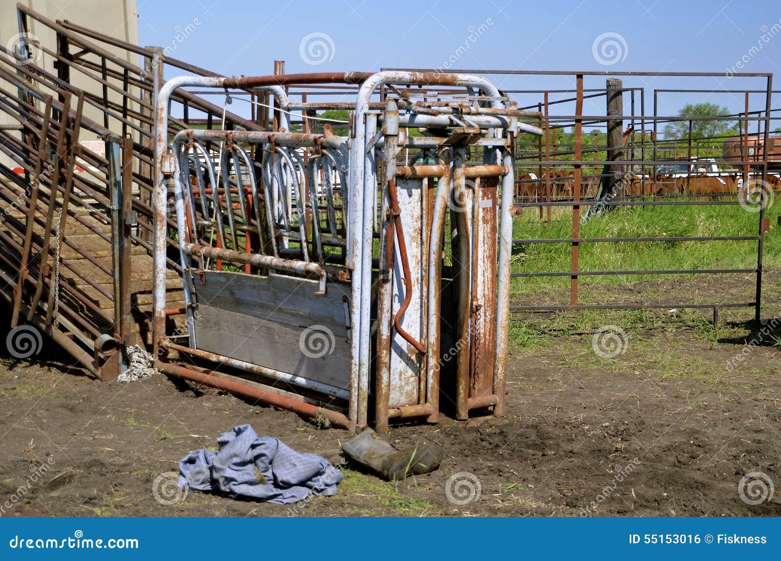 Cattle loading chute stock photo. Image of rodeo, grounds - 55153016