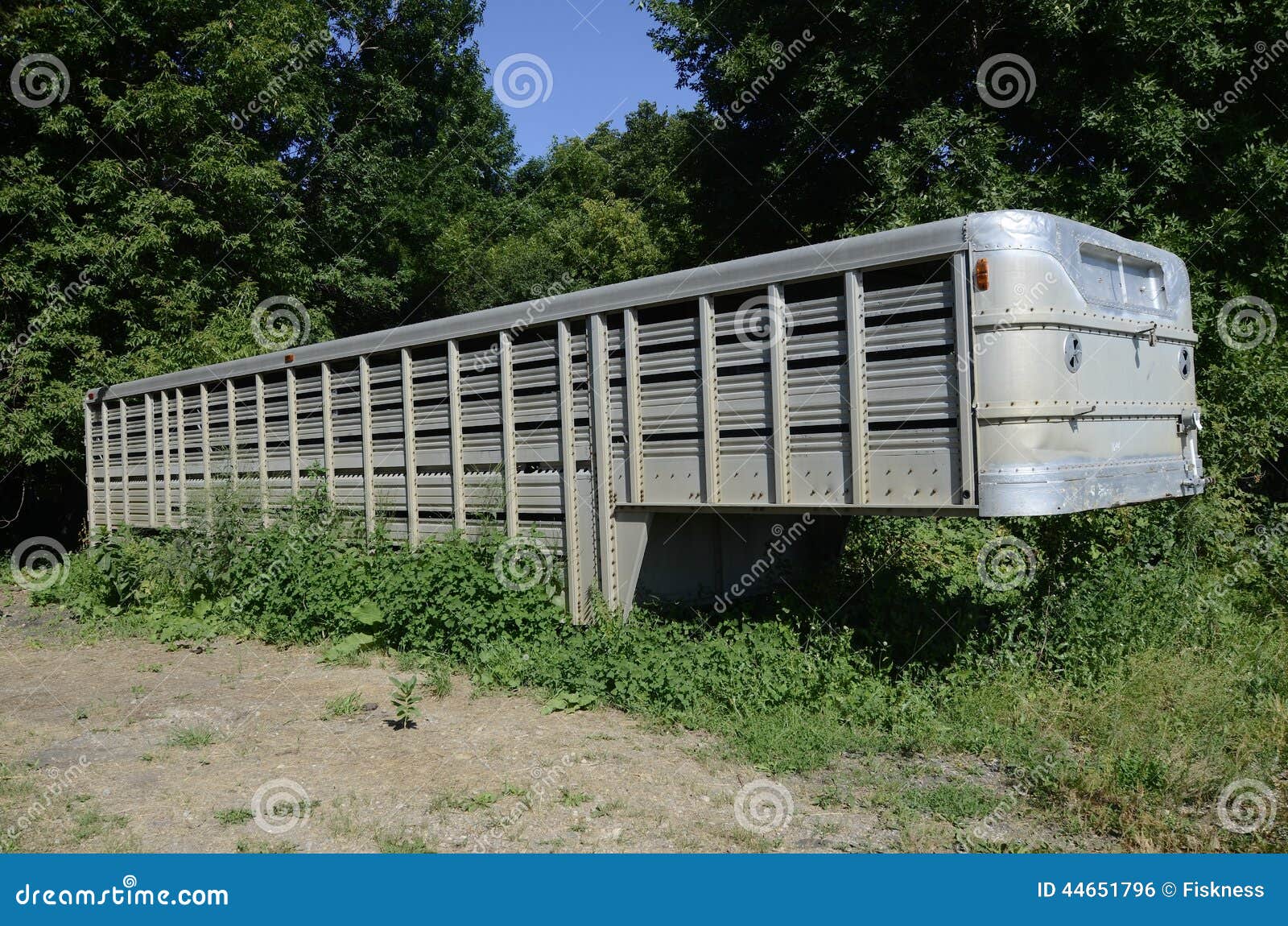 Cattle Mover Parked in the Weeds Stock Photo - Image of hauler, parked ...