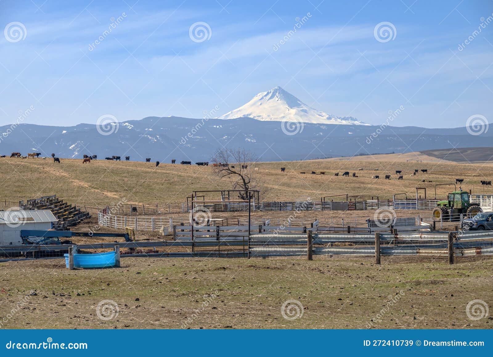 Cattle Ranch in Eastern Oregon Landscape. Stock Image - Image of ranch ...
