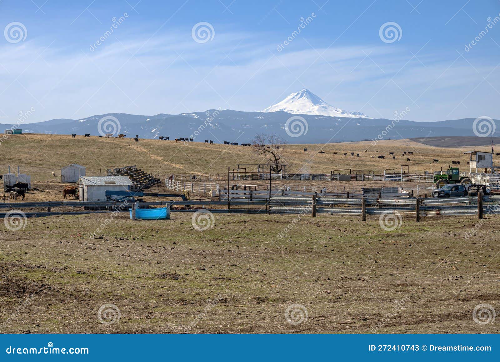 Cattle Ranch in Eastern Oregon Landscape. Stock Image - Image of cattle ...