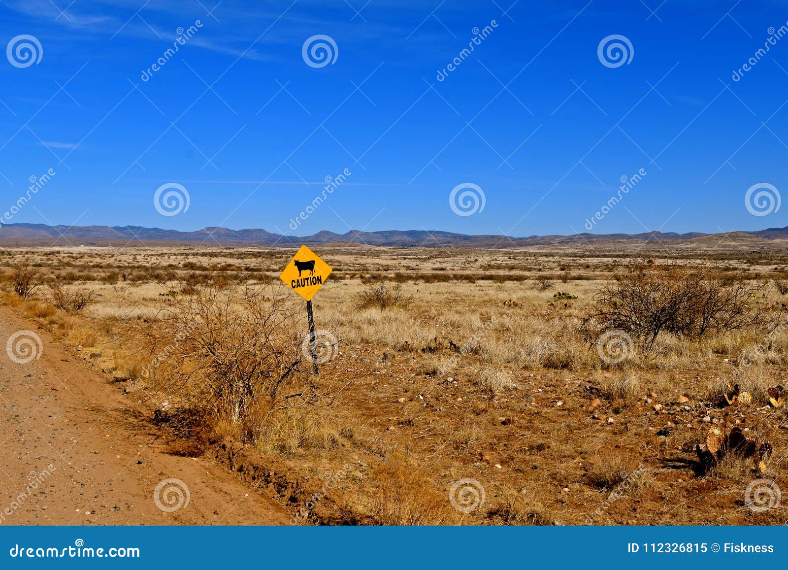 CATTLE Sign in an Open Range Area Stock Image - Image of desert ...