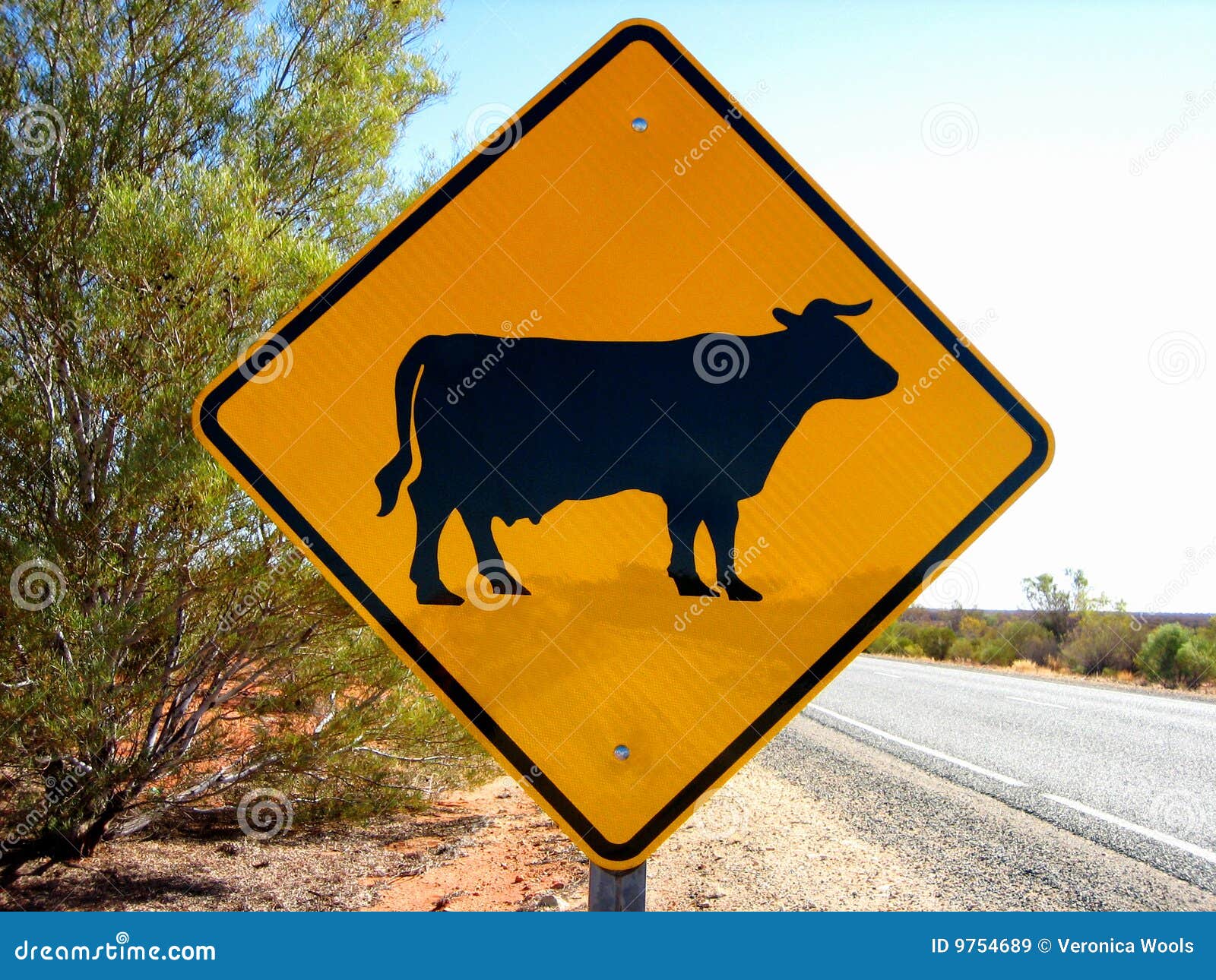 Cattle Sign on roadway stock image. Image of environment - 9754689