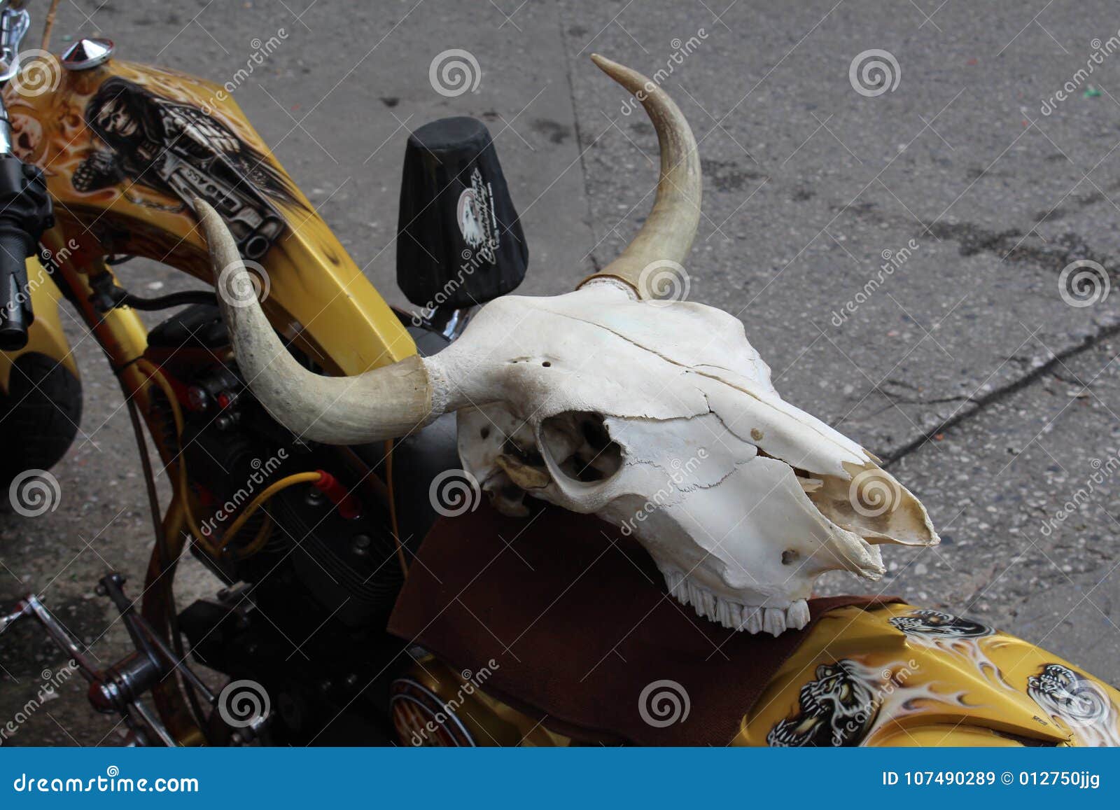 Skull Motorcycle Stock Photos - Royalty Free Images