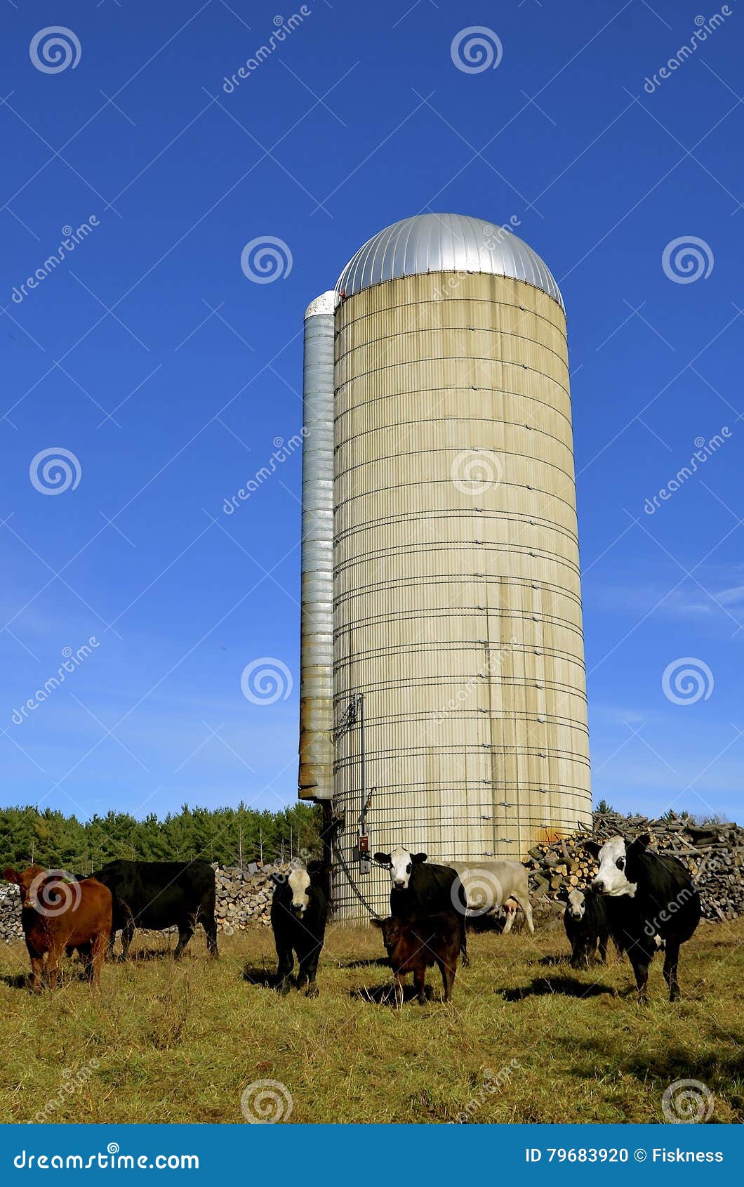 Tall Stave Silos Stock Image | CartoonDealer.com #90040597
