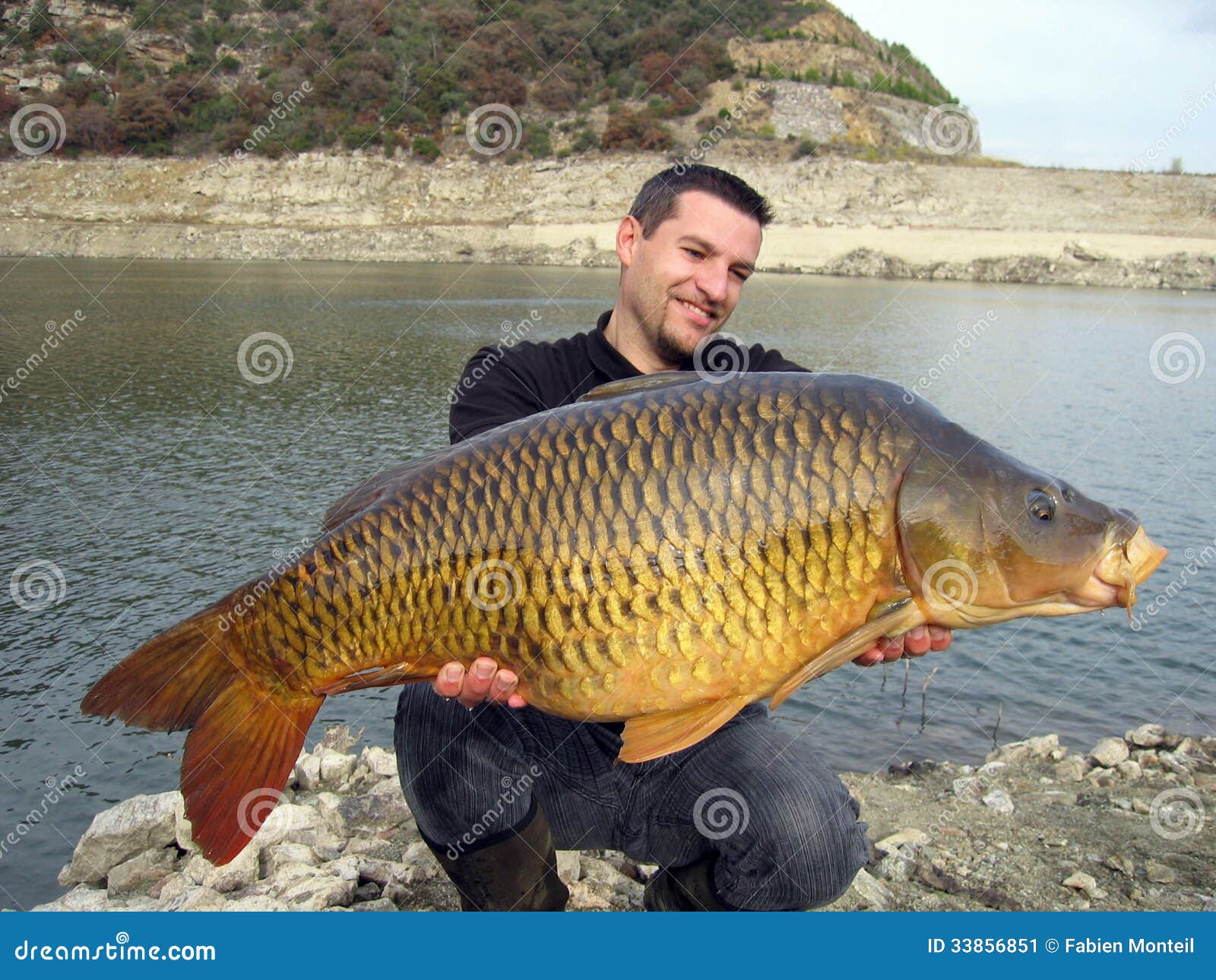 Cattura Di Pesce. Carpa Comune Immagine Stock - Immagine di lago ...
