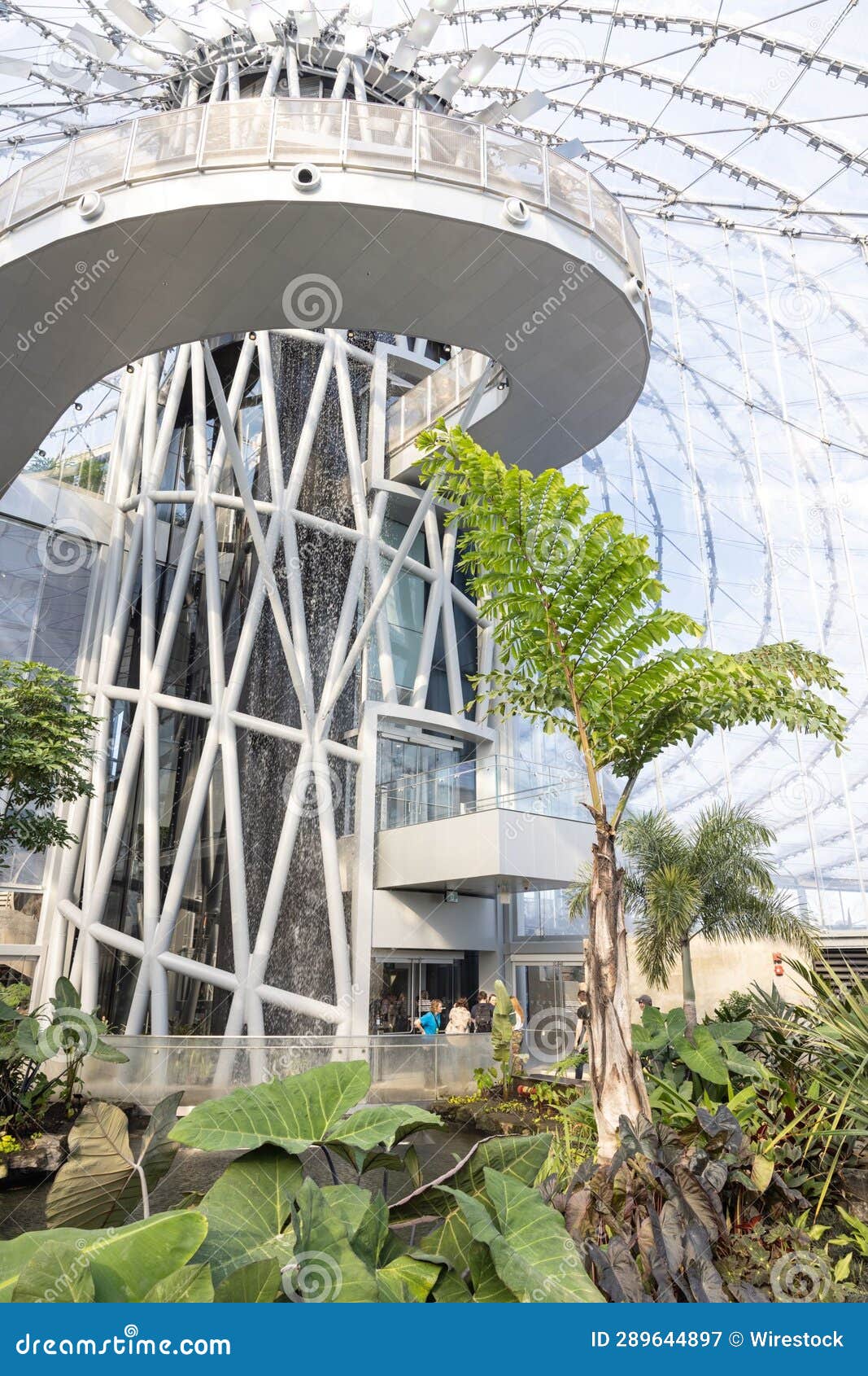 The Catwalk at the Leaf Conservatory Editorial Photography - Image of ...