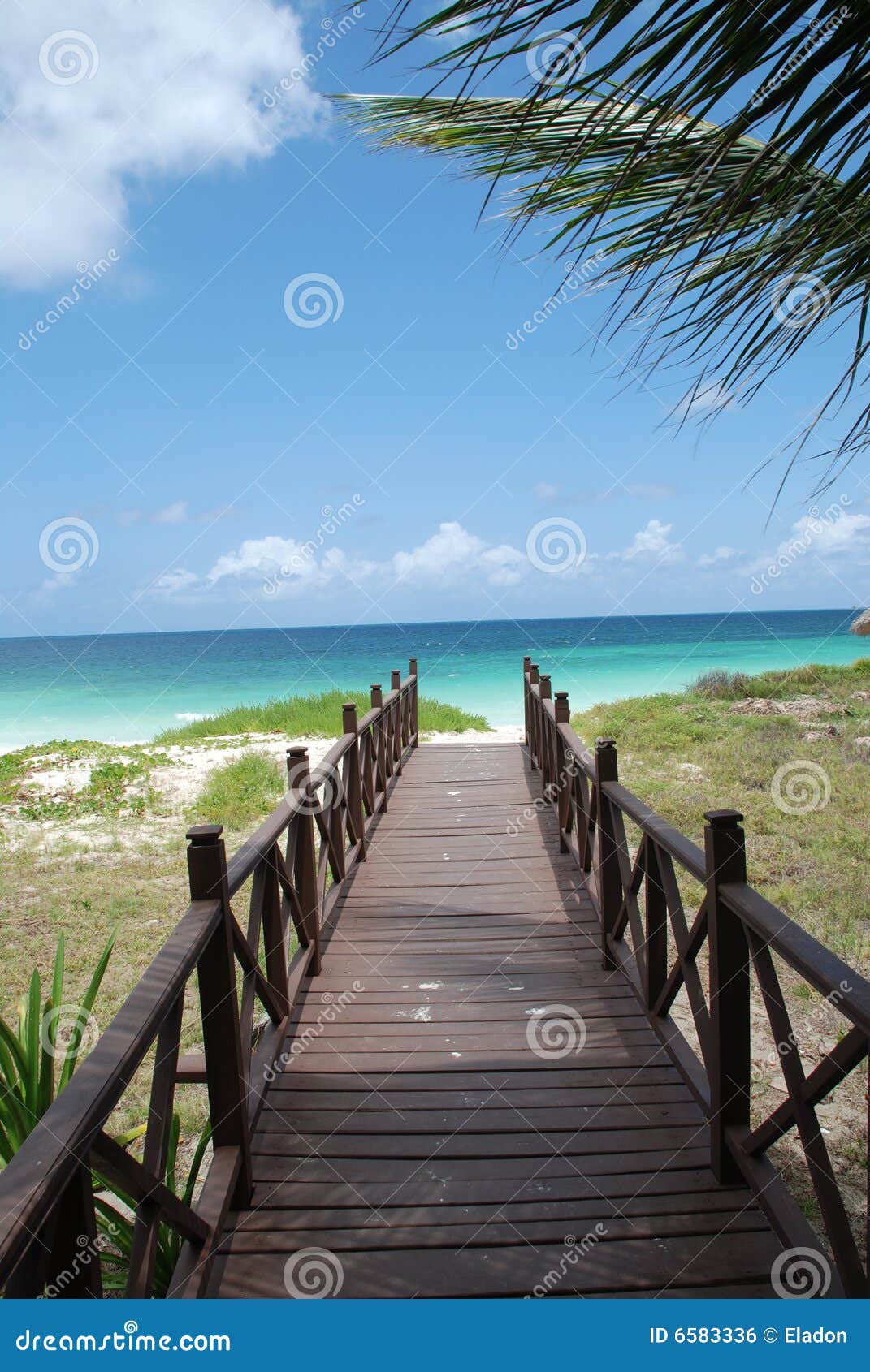Catwalk to the beach stock photo. Image of beachside, greva - 6583336