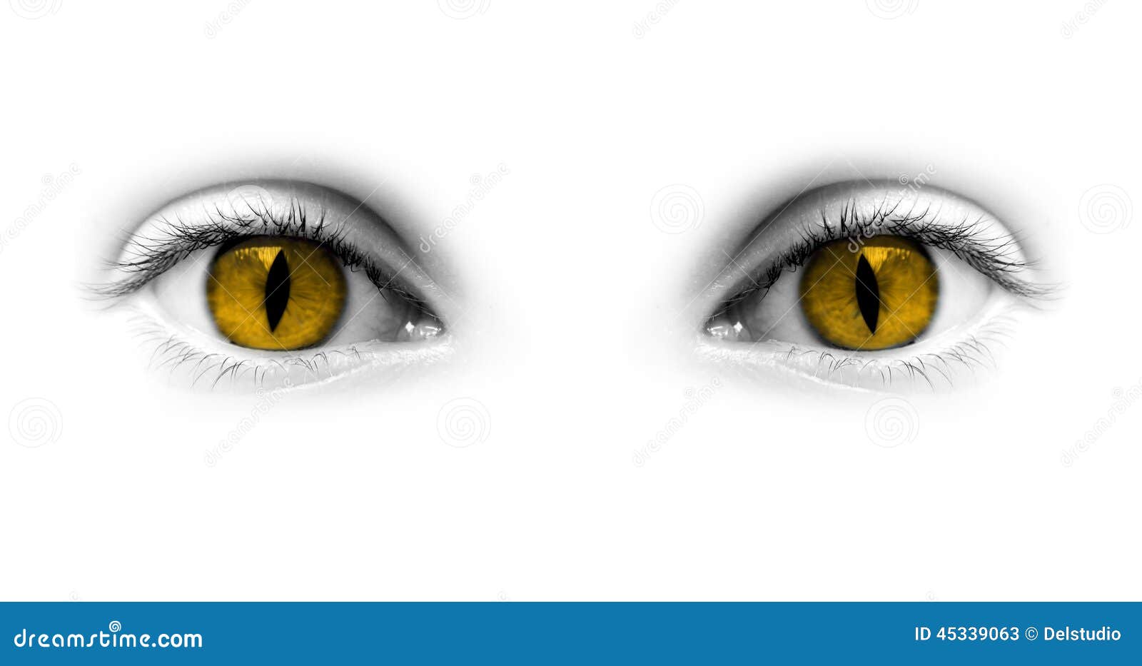 Catwoman gele ogen stock afbeelding. Image of iris, katachtig - 45339063