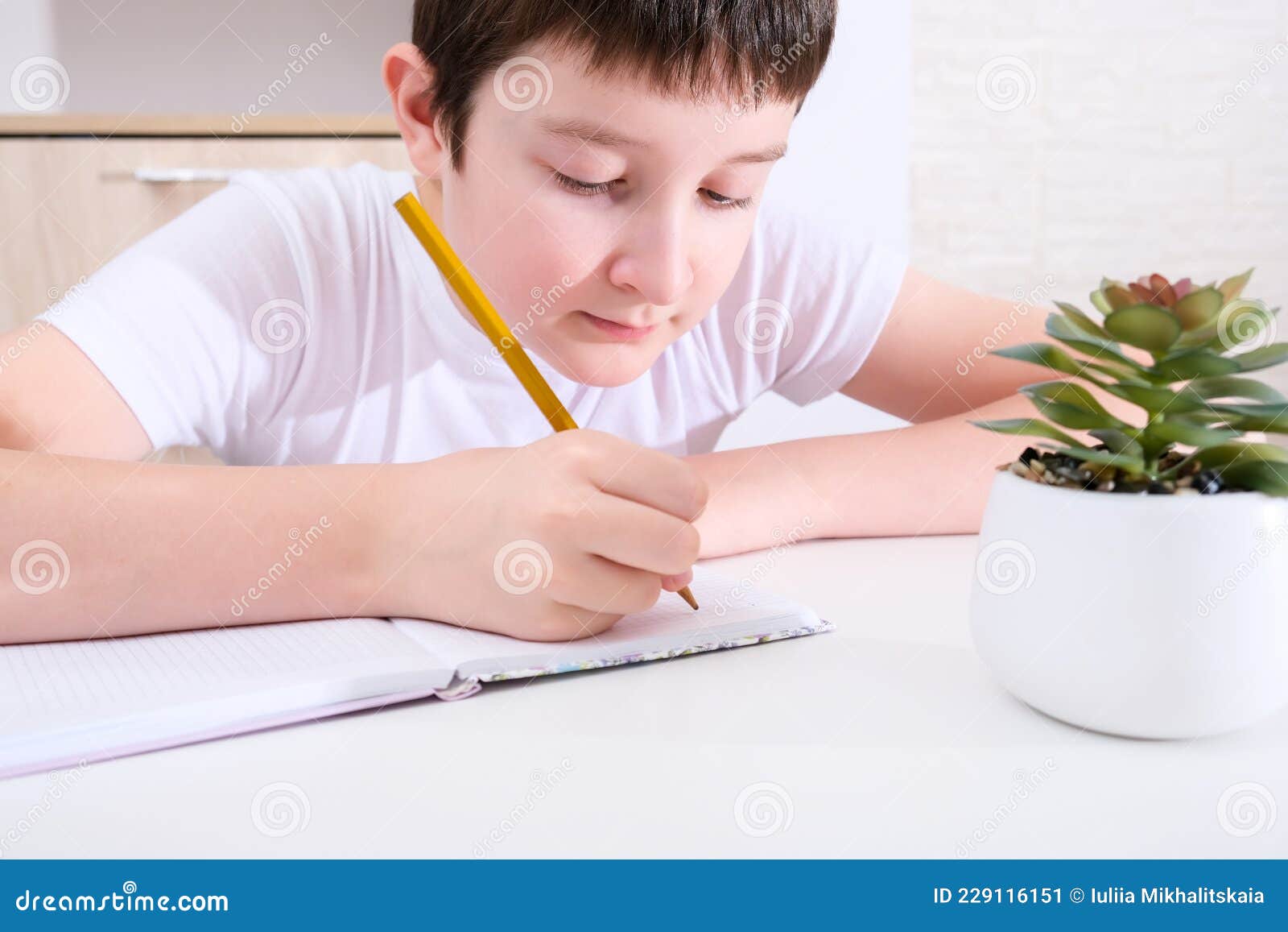 A Caucasian Boy Doing His Homework at Home, he is Focused, Concentrated ...
