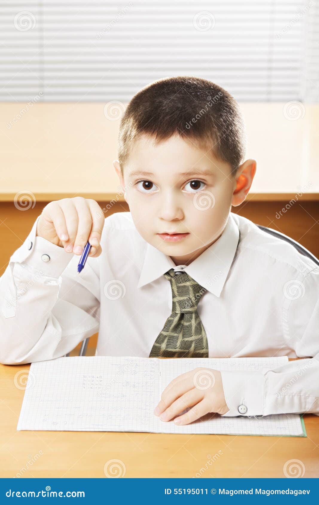 Caucasian Boy with Pen and Copybook Stock Image - Image of desk, gaze ...