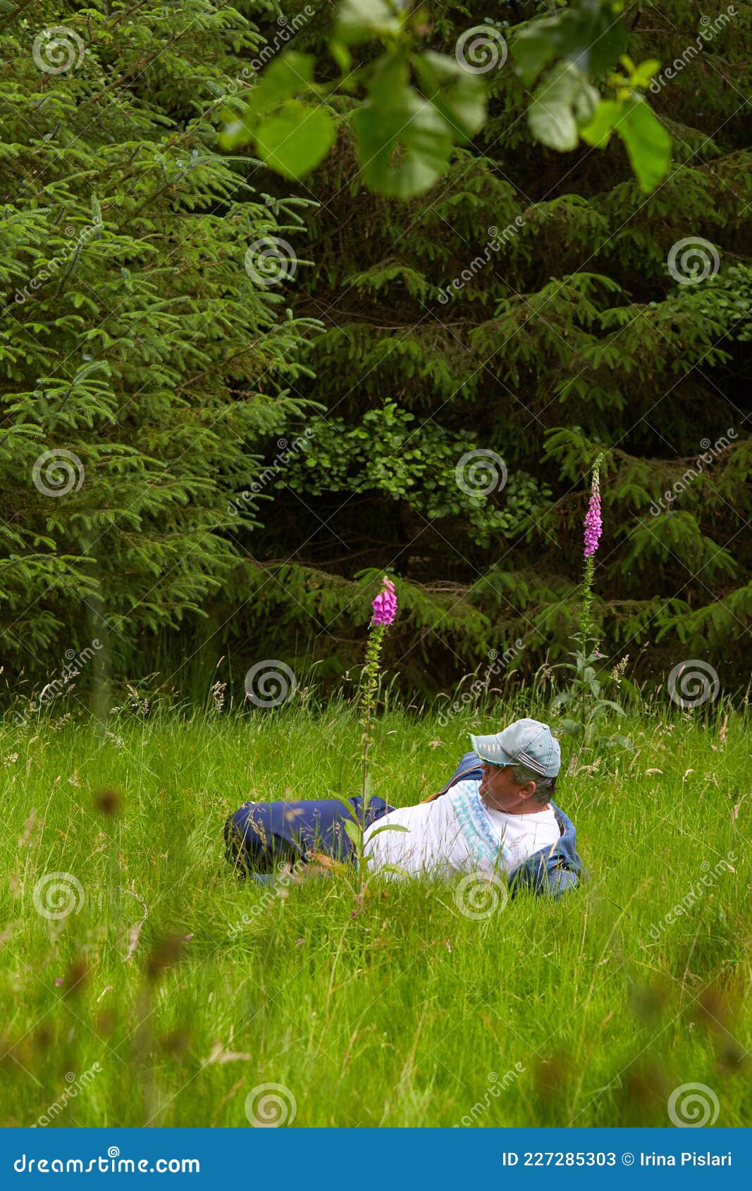 A Caucasian Disability Man Resting in the Bright Green Fresh Forest ...
