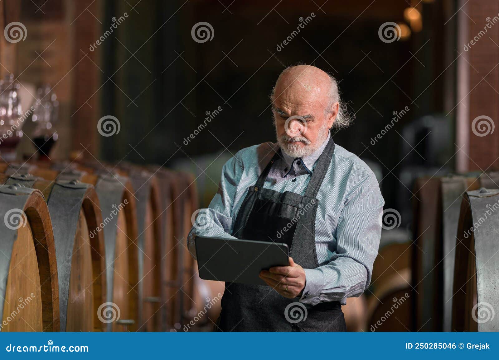 Winemaker Checking a Wine Aging in Barrels Data, Using a Touchpad ...