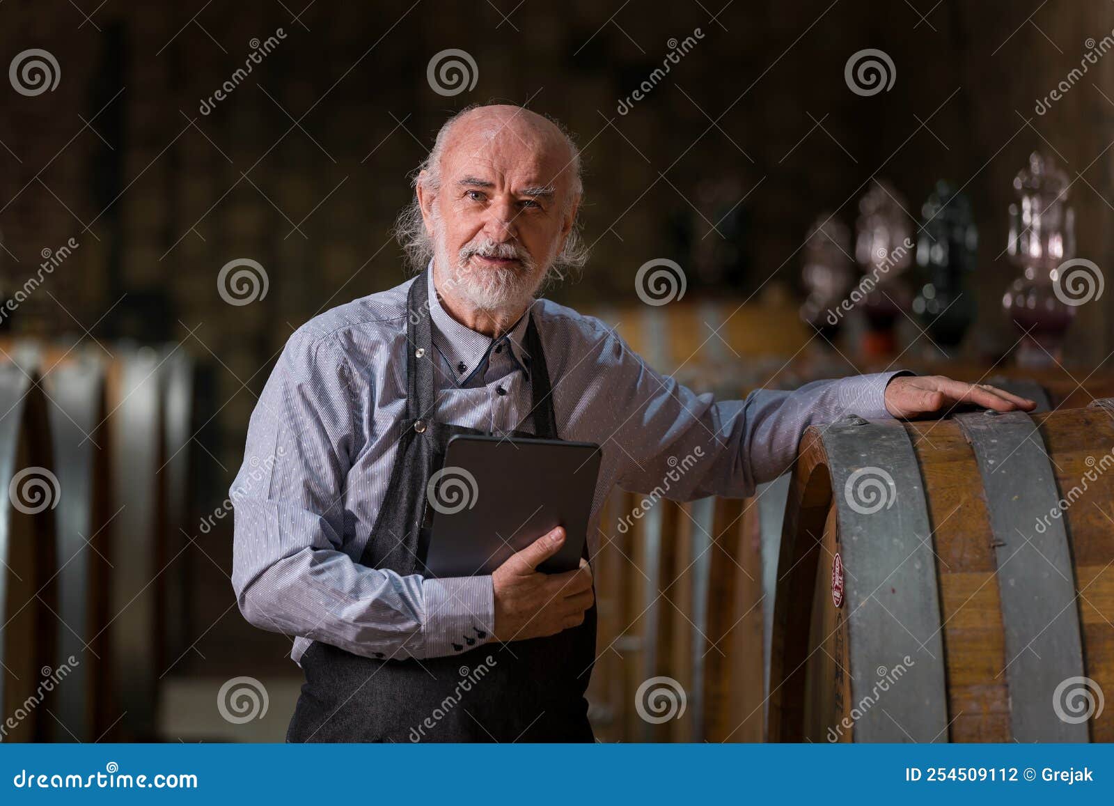 Winemaker Checking a Wine Aging in Barrels Data, Using a Touchpad ...