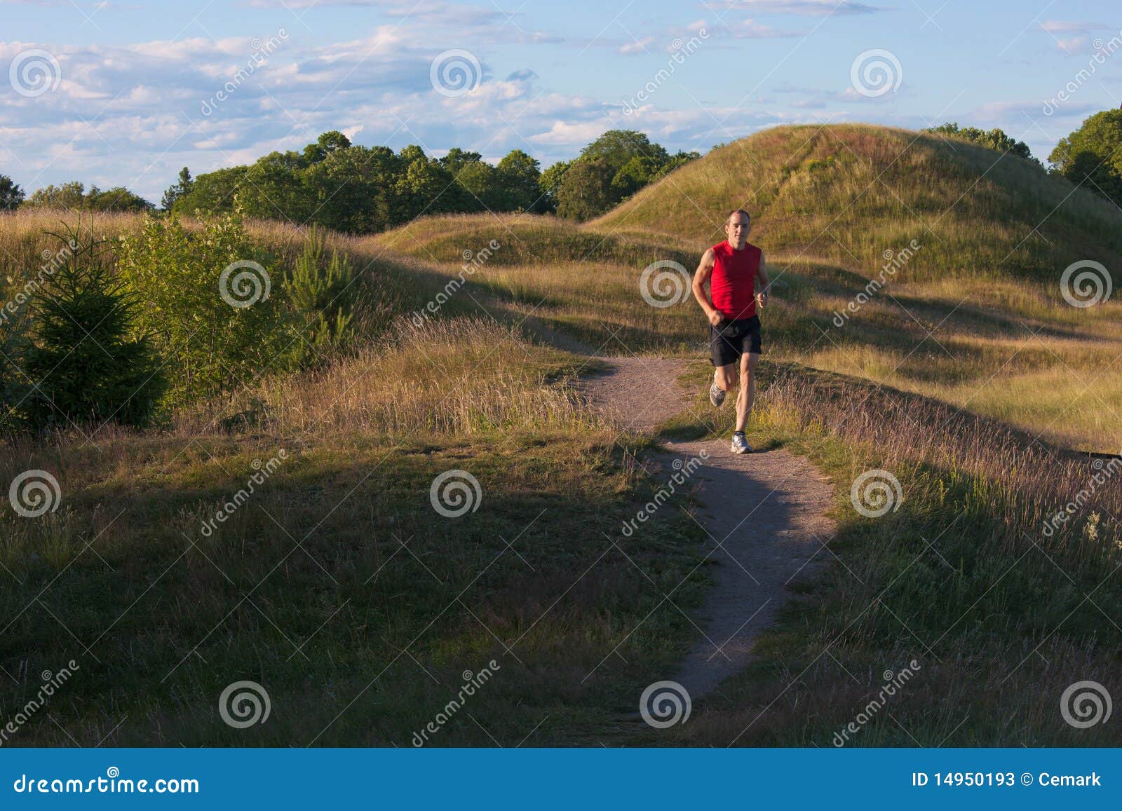 Caucasian, Male Runner in a Summer Landscape Stock Image - Image of ...