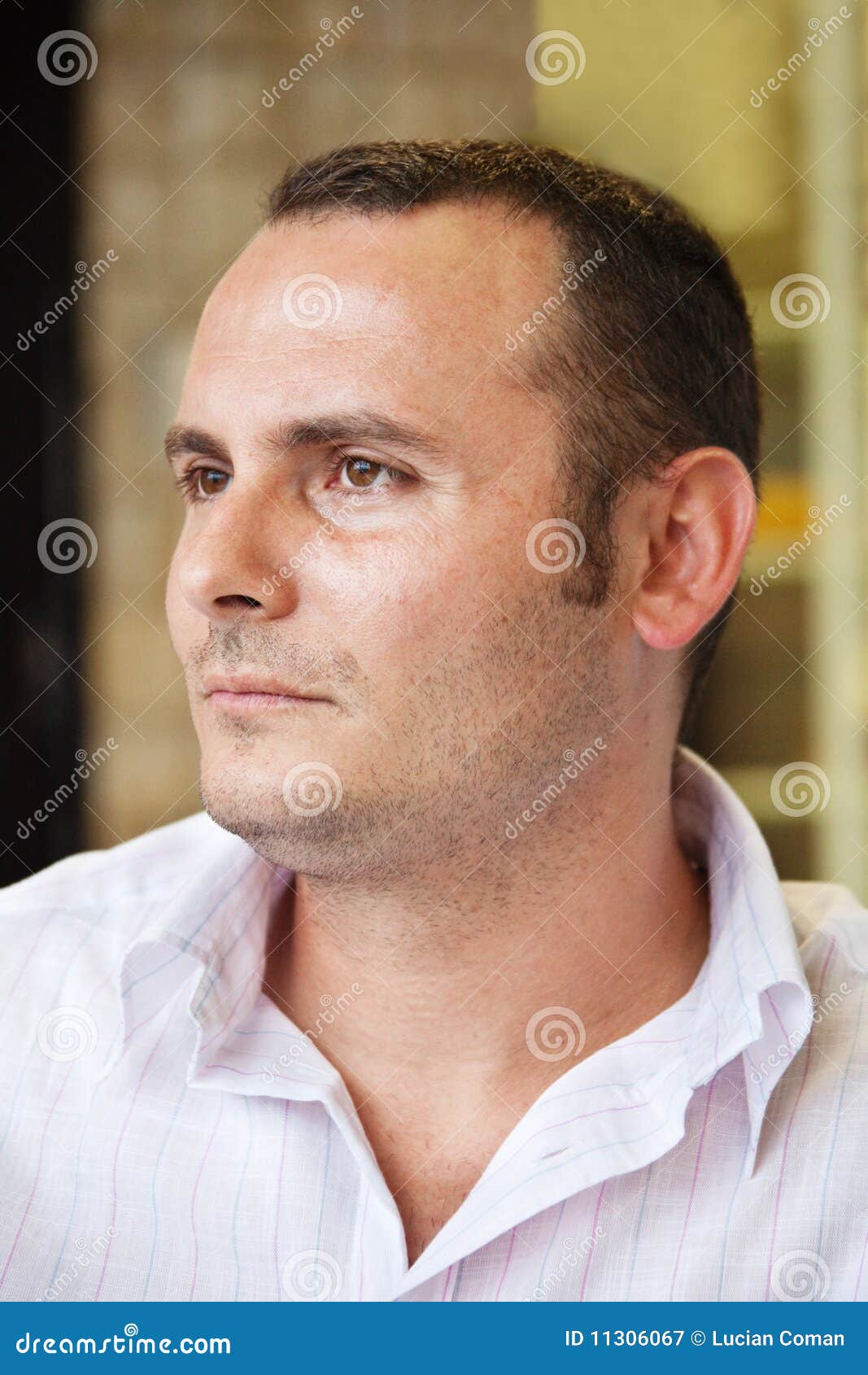 Caucasian man stock image. Image of face, hair, beard - 11306067