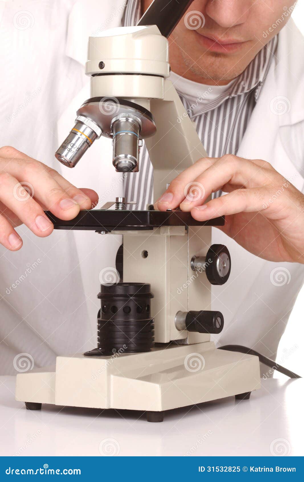Caucasian Scientist at Work Using the Scientific Method Stock Image ...