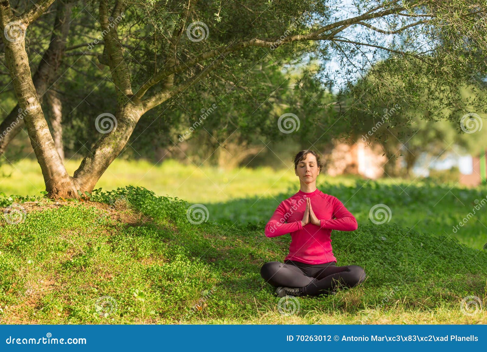Caucasian Woman Sitting Under a Tree and Meditating Stock Photo - Image ...