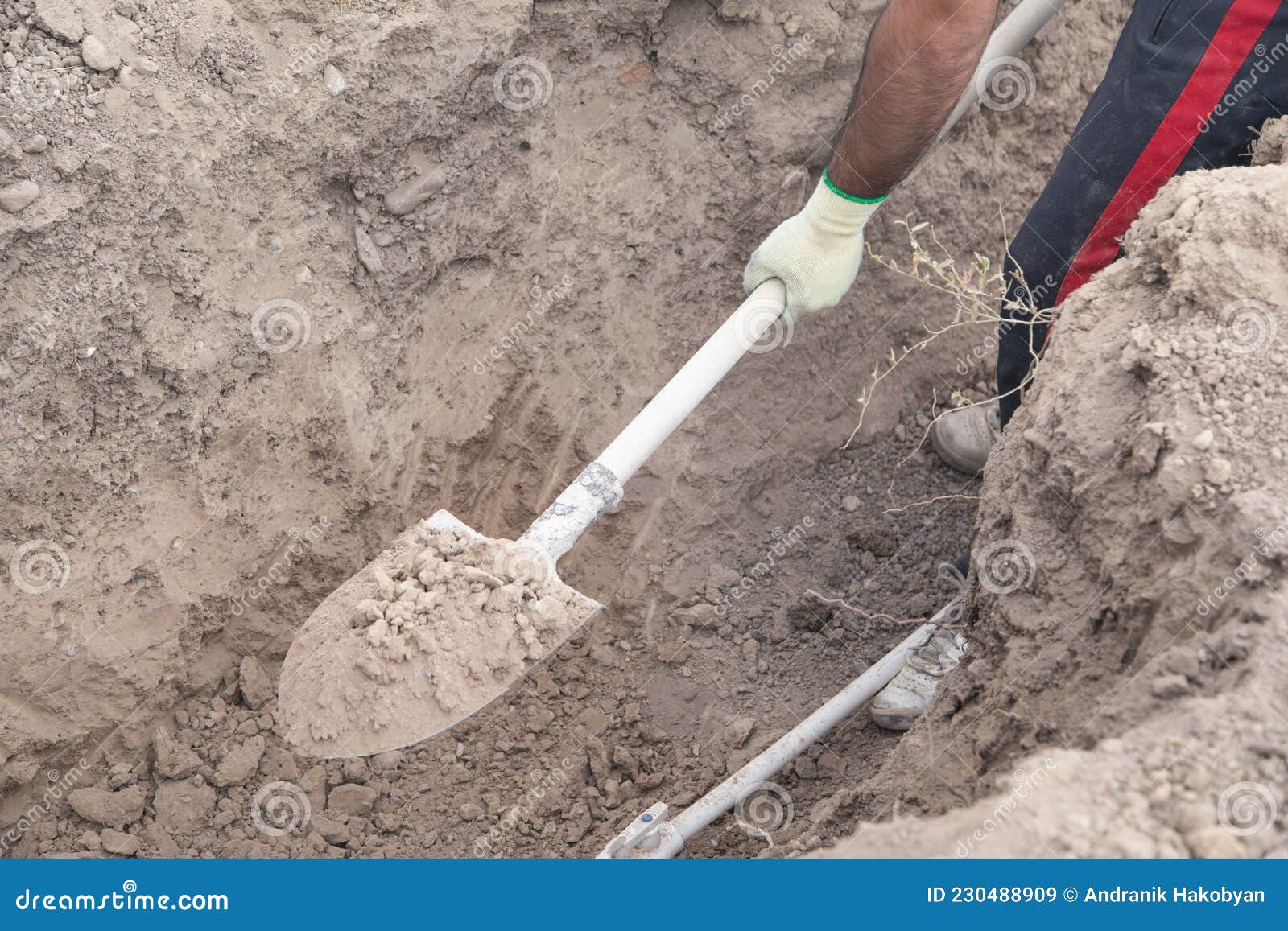 Caucasian Worker Digging a Hole Stock Image - Image of worker, summer ...