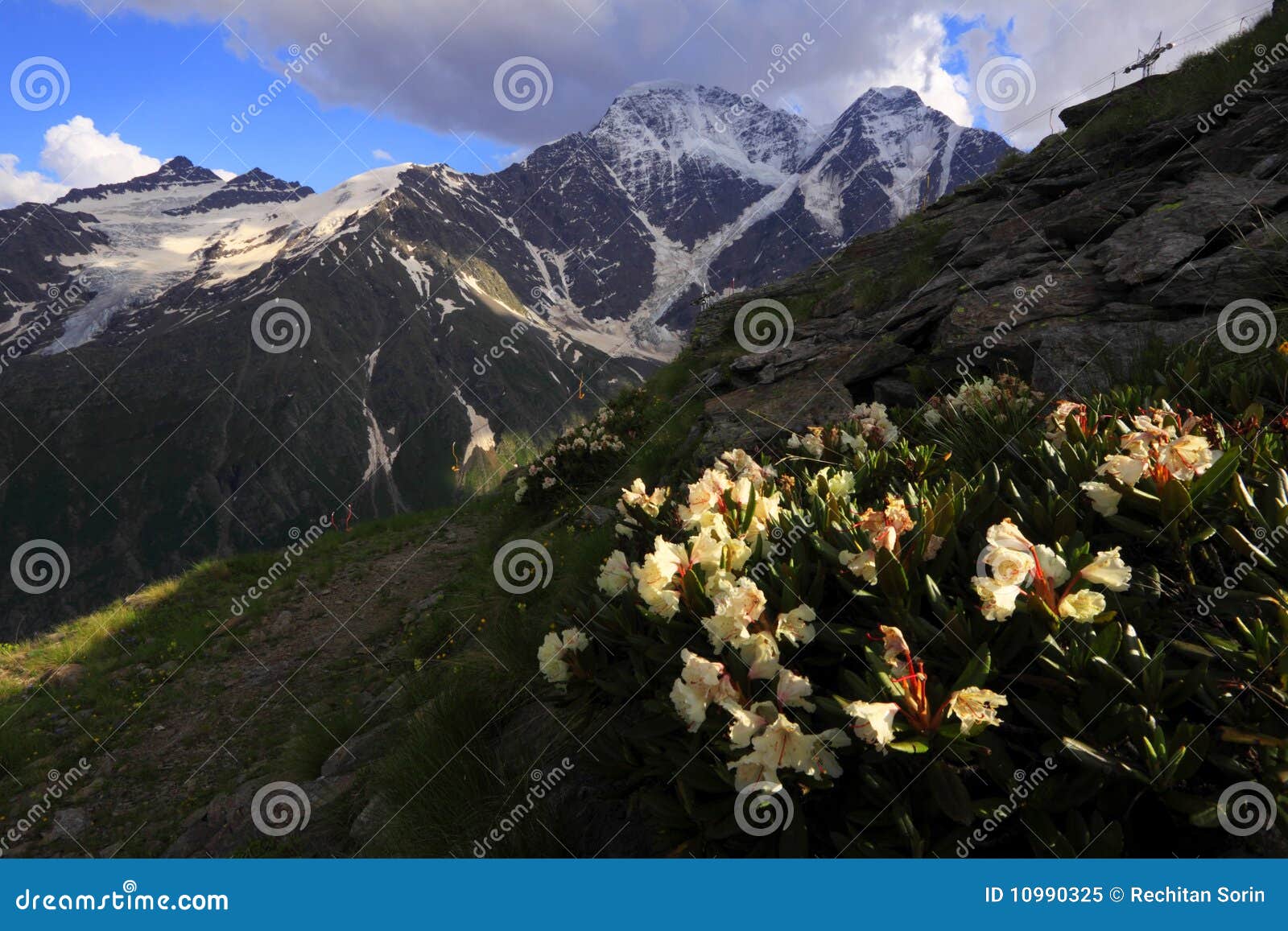 Caucasus Landscape stock image. Image of sunny, caucasus - 10990325
