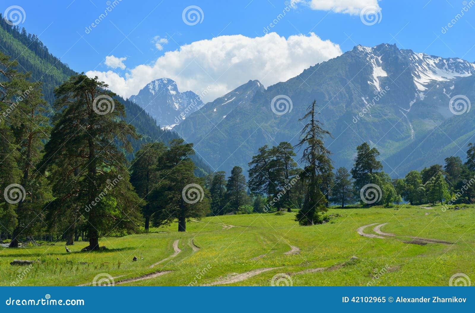 Caucasus landscape stock image. Image of grove, beautiful - 42102965