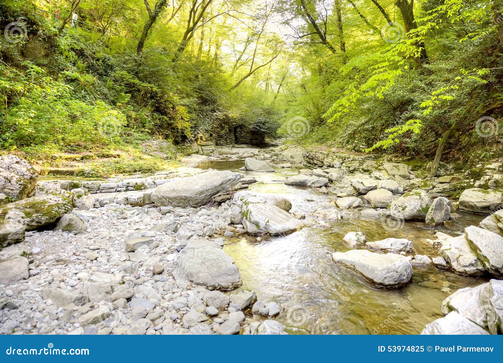 Caucasus. Sochi. River Agura Stock Image - Image of agoura, greenery ...