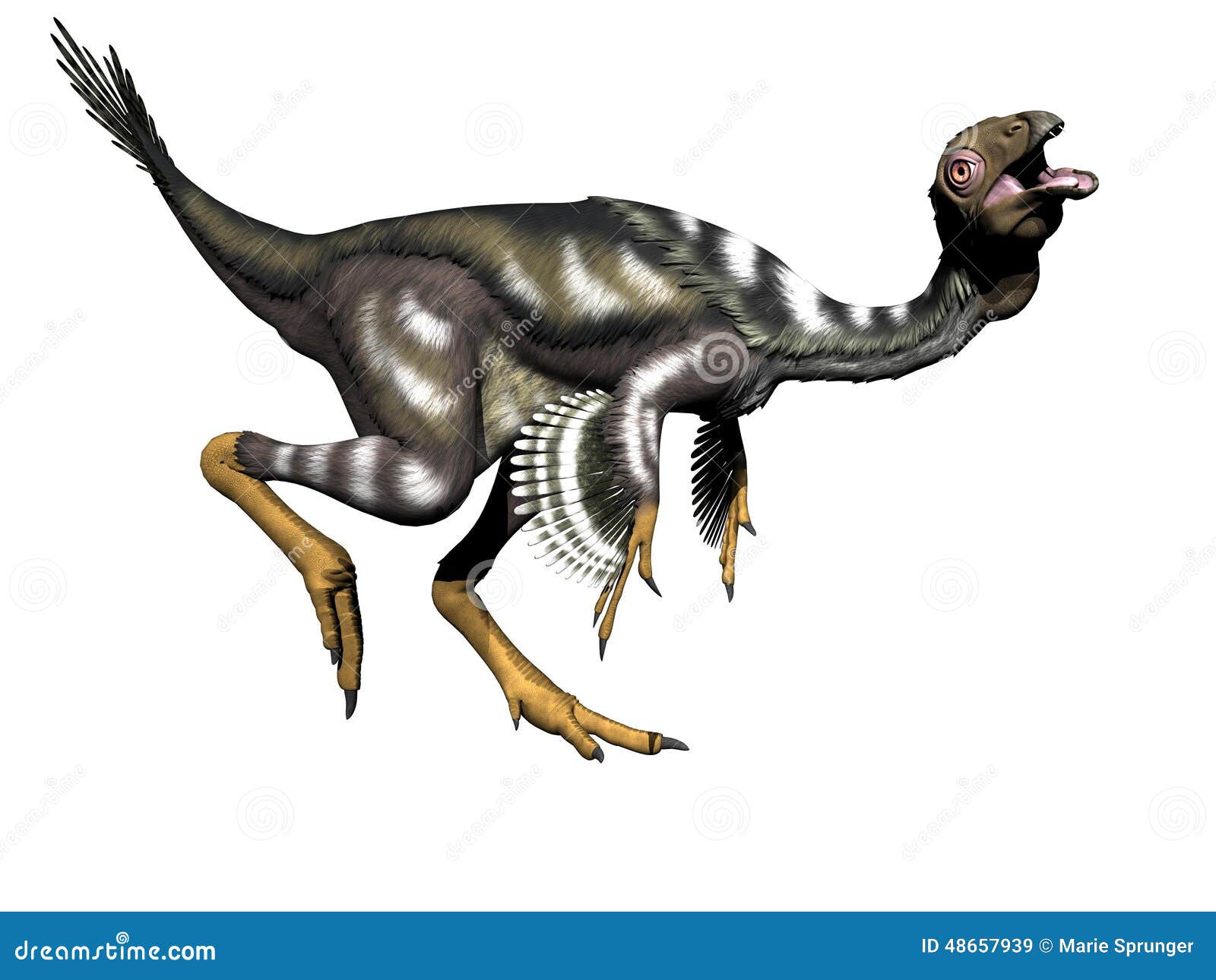 Caudipteryx Dinosaur - 3d Render Stock Illustration - Illustration of ...
