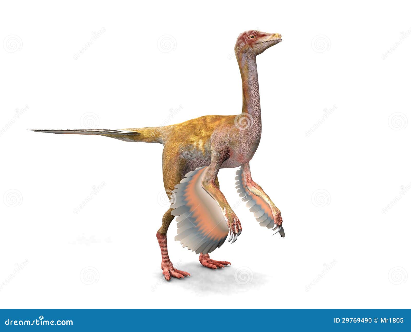 Caudipteryx Stock Photo - Image: 29769490
