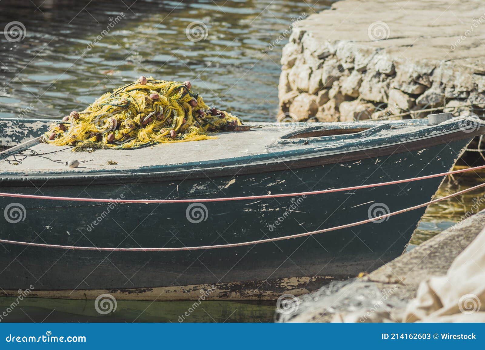 Barnacles On Boats