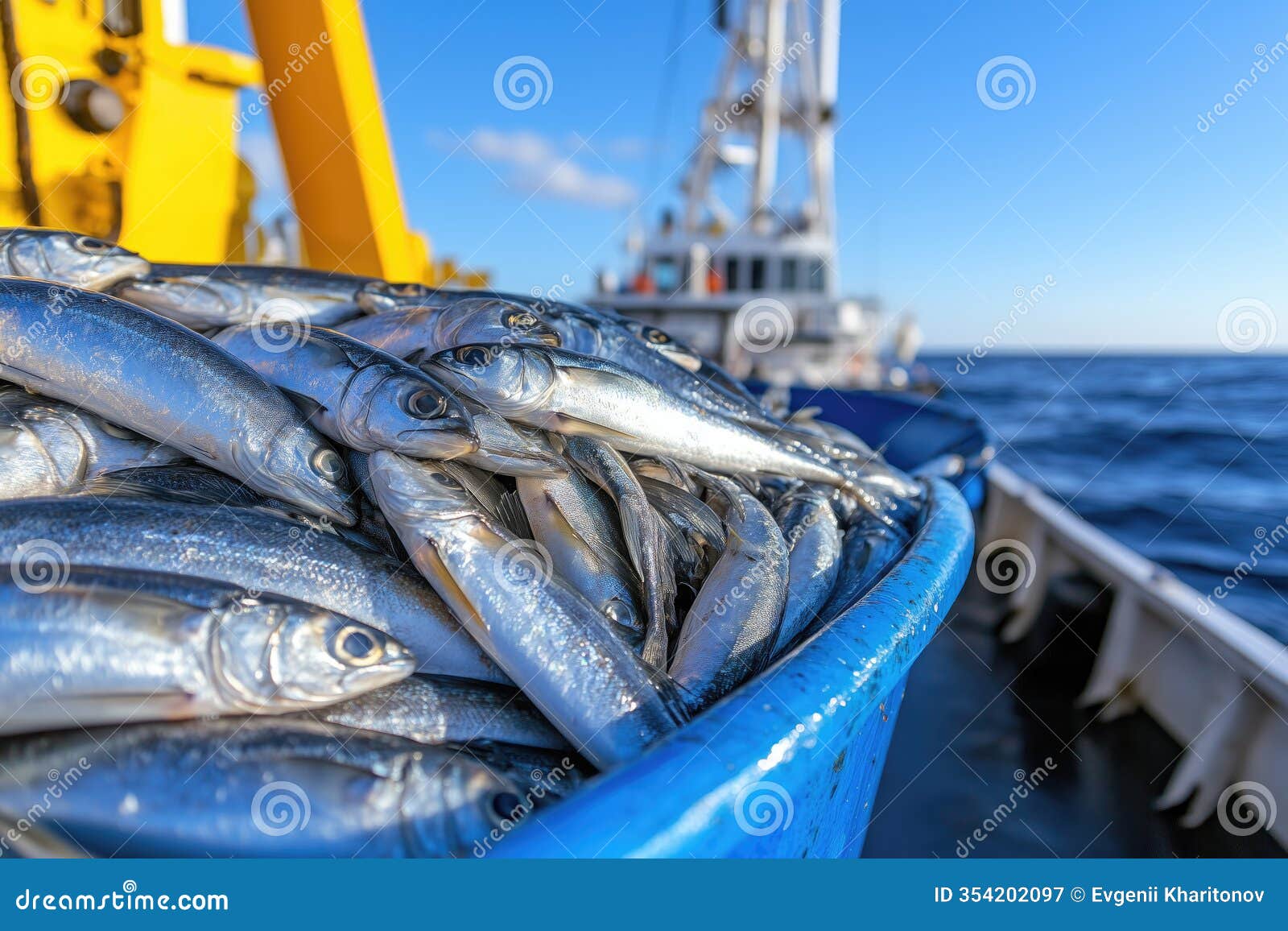 Caught Fish in a Bucket on the Deck of a Fishing Trawler Stock ...