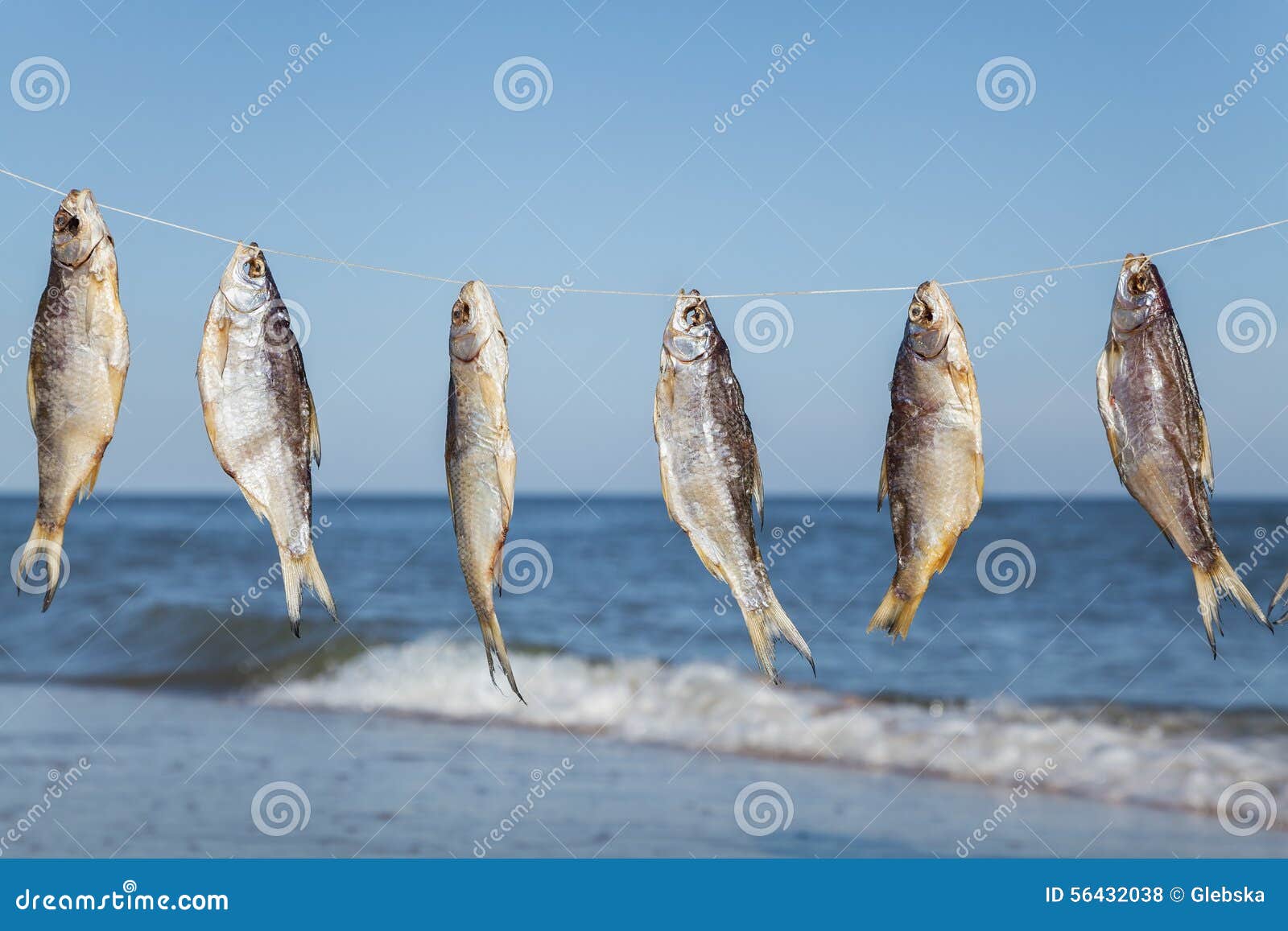 Caught fish drying on rope stock photo. Image of resort - 56432038