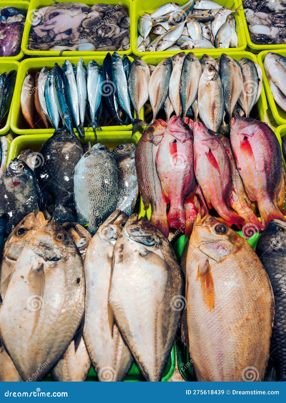 Caught fish sold fresh stock image. Image of sold, pile - 275618439