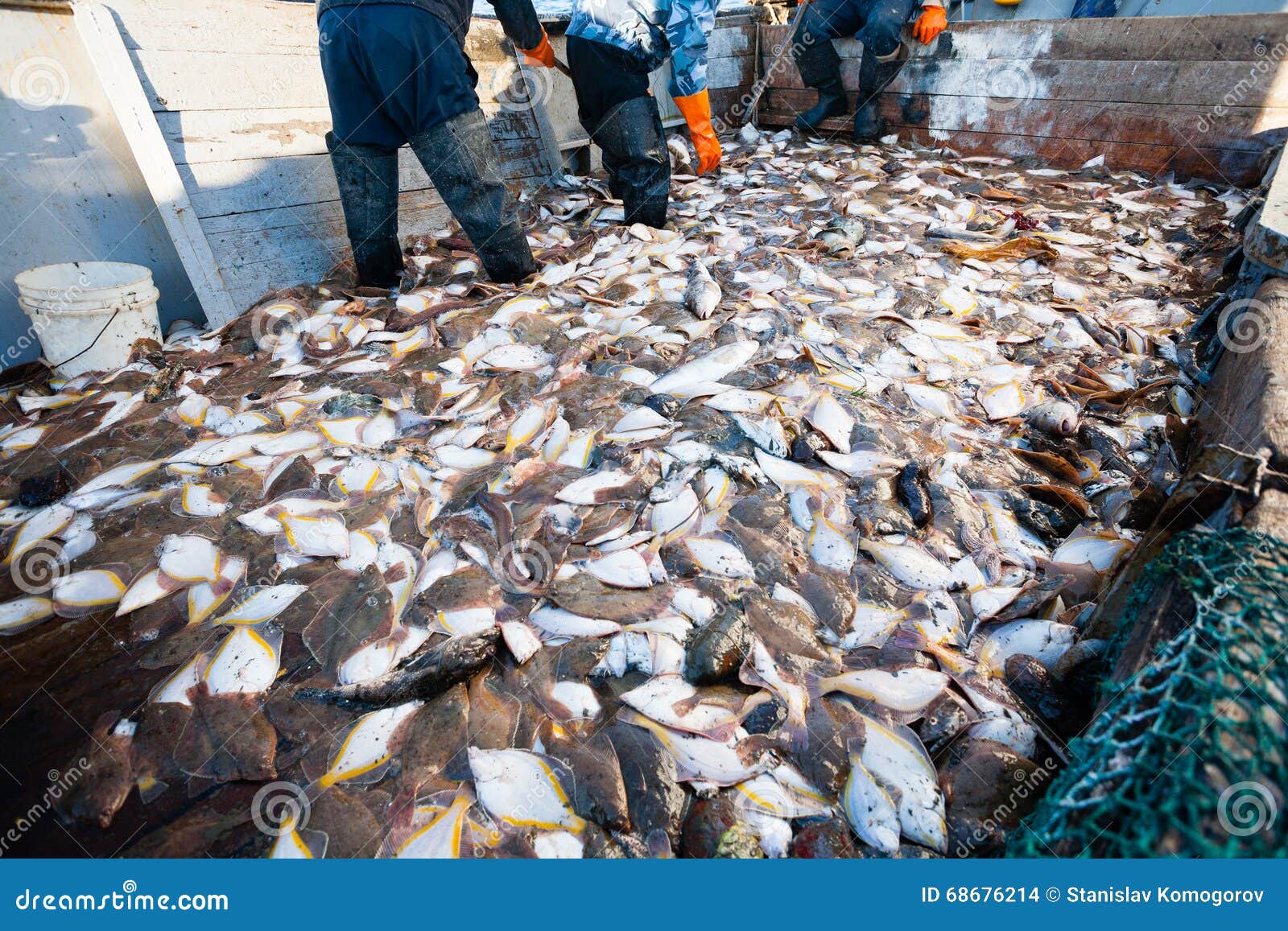 Caught Sea Fish on the Deck of a Fishing Ship Stock Photo - Image of ...