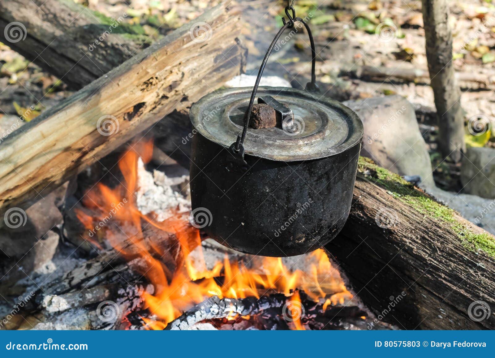 Cauldron on fire in forest stock image. Image of nature - 80575803