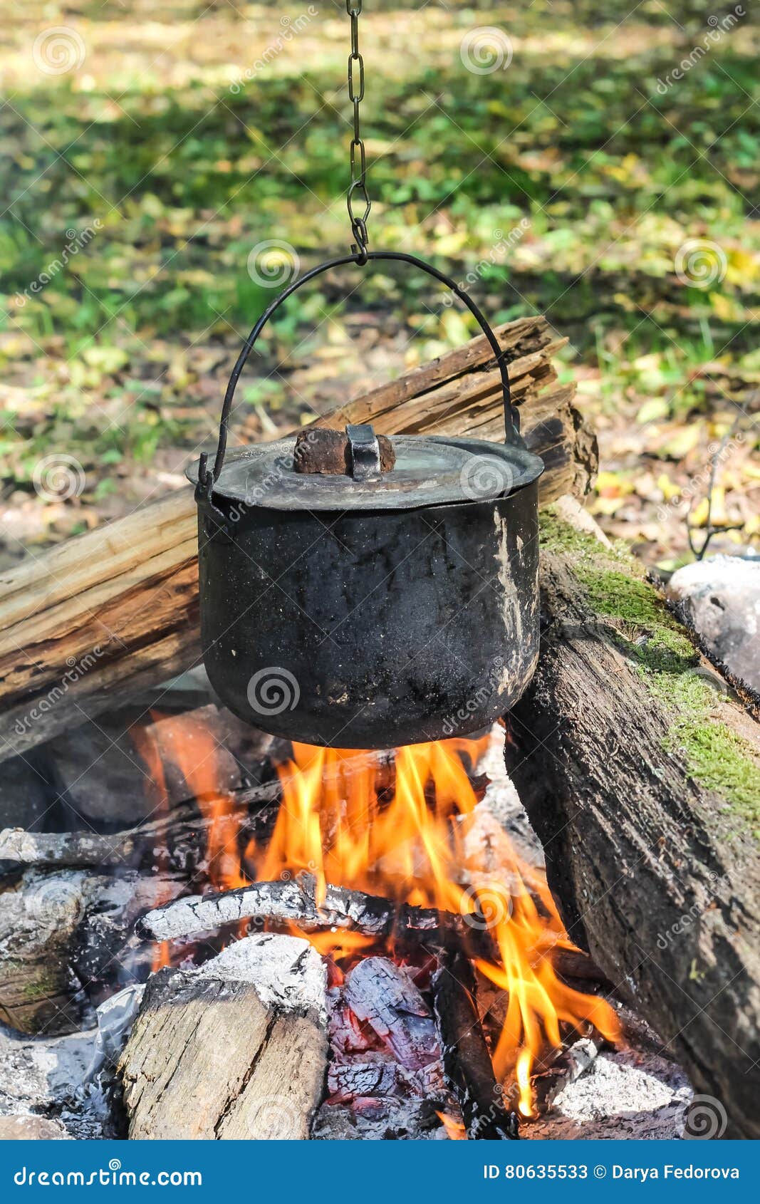 Cauldron on fire in forest stock image. Image of burn - 80635533