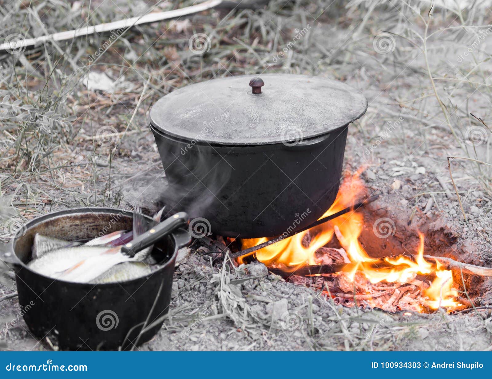Cauldron on the Fire on the Nature Stock Image - Image of open, cooking ...
