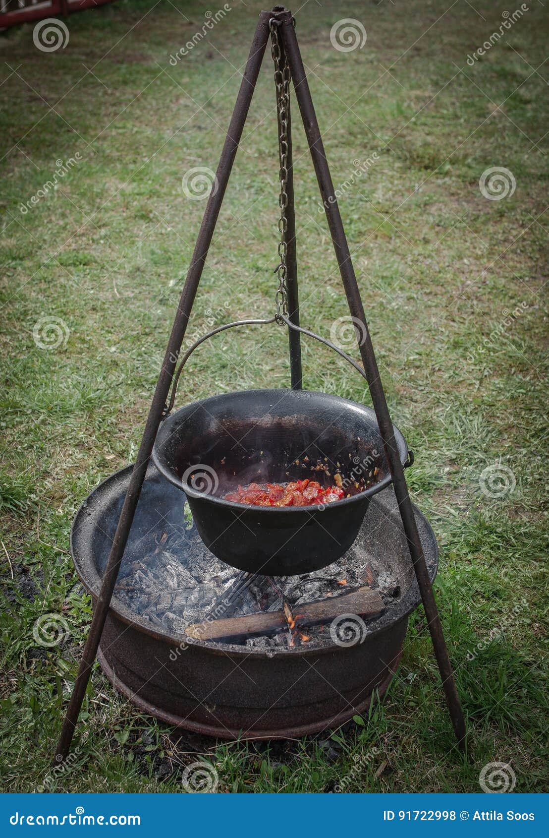 Cauldron stock photo. Image of holder, fire, chain, grass - 91722998