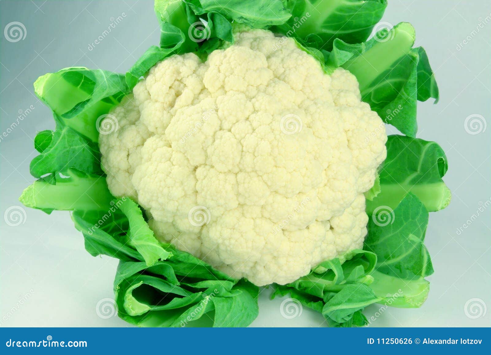 Cauliflower. stock photo. Image of agriculture, gourmet - 11250626
