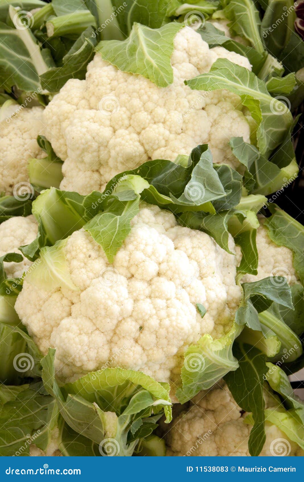 Cauliflower stock image. Image of cauliflower, organic - 11538083