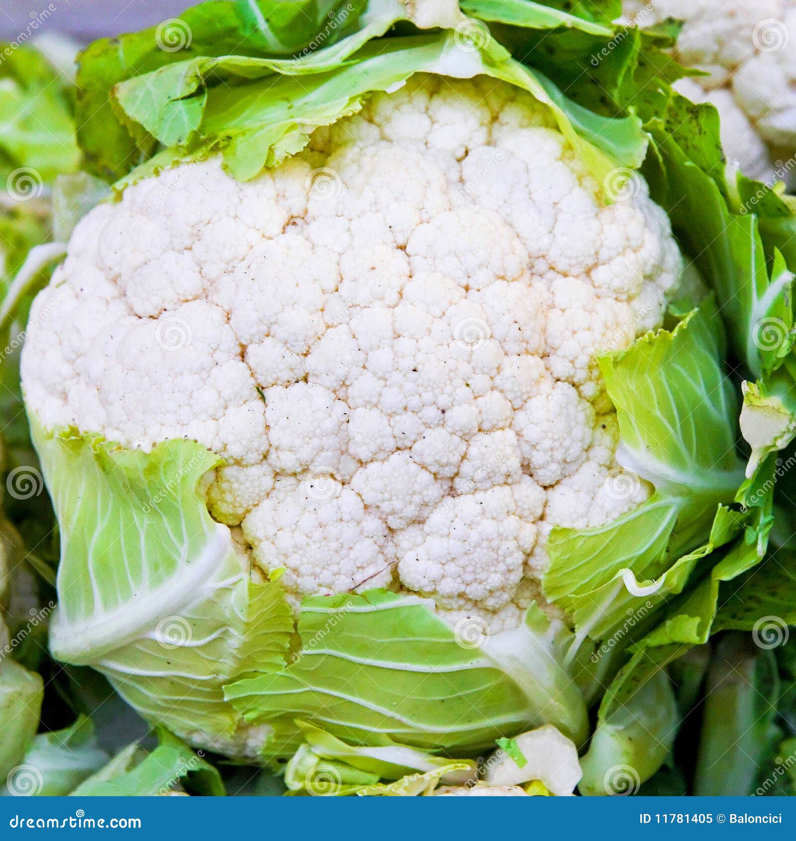 Cauliflower stock image. Image of nature, cauliflowers - 11781405