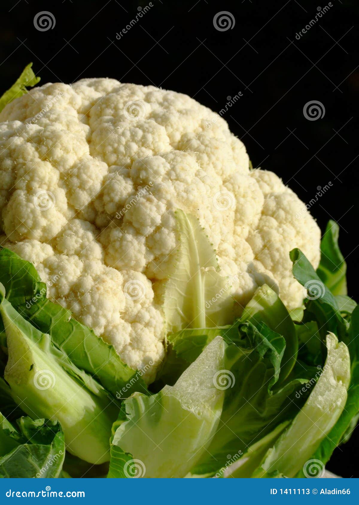 Cauliflower stock image. Image of brassicaceae, botrytis - 1411113