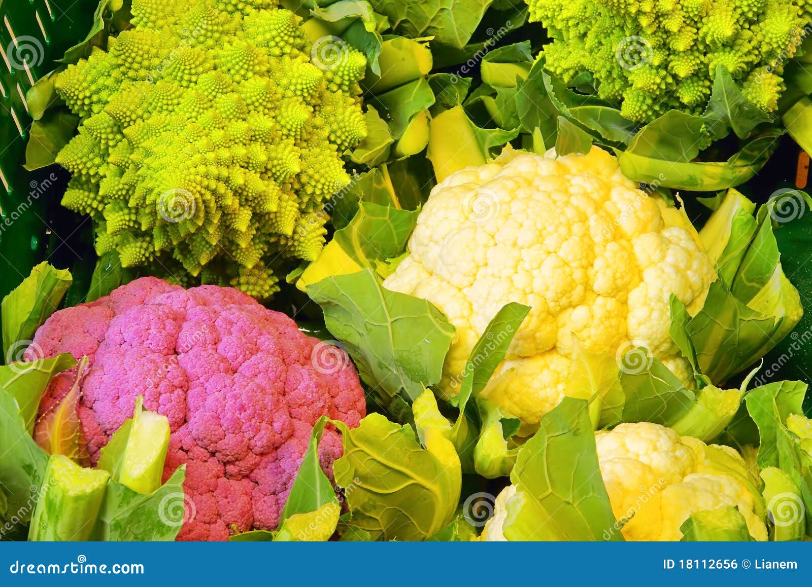Cauliflower stock photo. Image of natural, leaf, ripe - 18112656