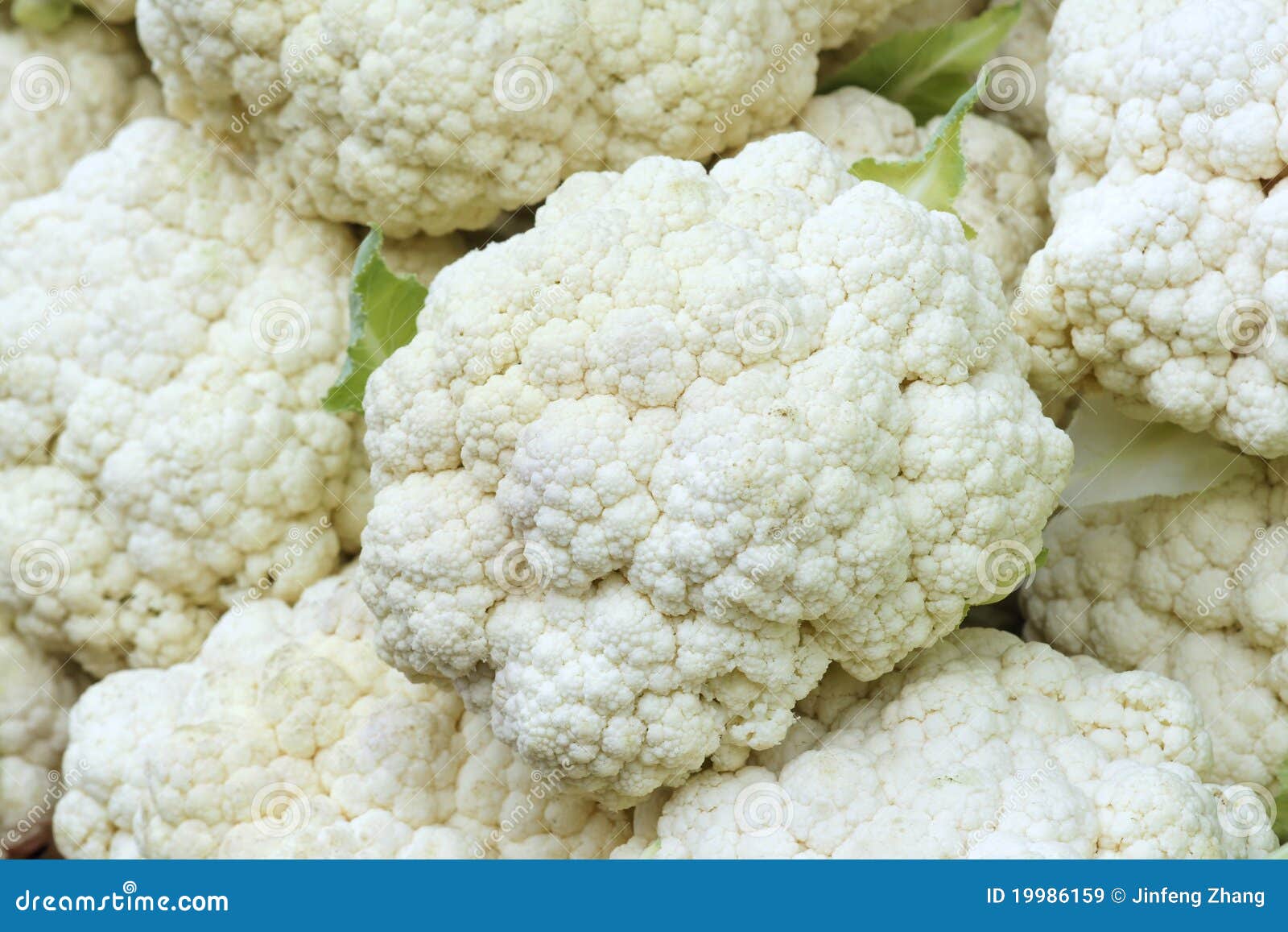 Cauliflower stock image. Image of vegetables, produce - 19986159